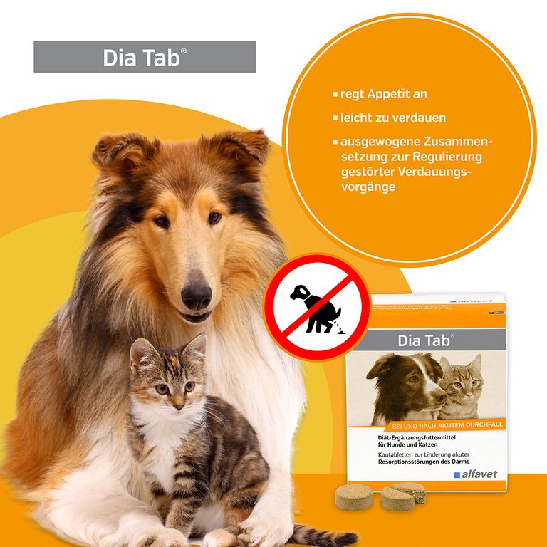Dia Tab® 6x5,5 g - Shop Apotheke