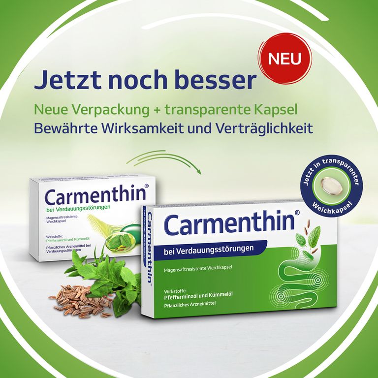 Carmenthin® bei Verdauungsstörungen 14 St - Shop Apotheke