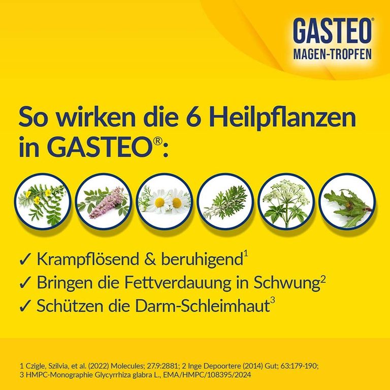 GASTEO® Tropfen bei Magen-Darm-Beschwerden 50 ml - Shop Apotheke