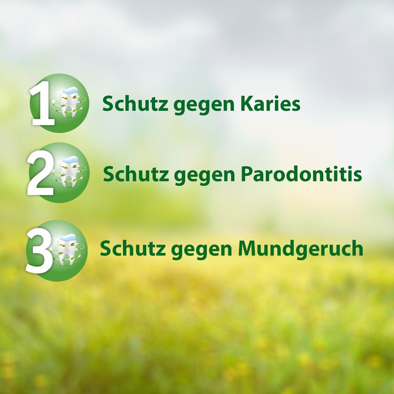 Salviagalen Madaus - Medizinische Zahnpasta ohne Fluorid 75 ml - Shop ... Salviagalen Madaus - Medizinische Zahnpasta ohne Fluorid 75 ml - Shop ...