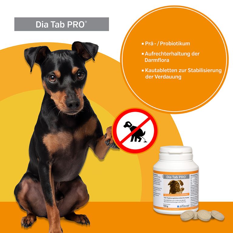 Dia Tab® PRO 100 g - Shop Apotheke