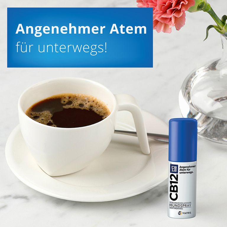 CB12 Spray: Mundspray für angenehmen Atem unterwegs 15 ml - Shop Apotheke