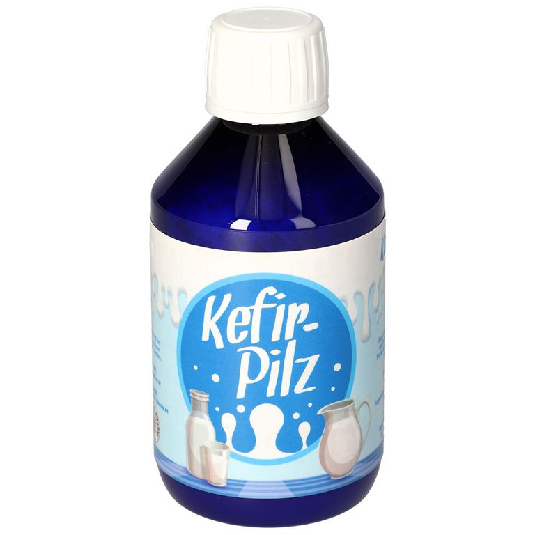 Kefir-Pilz 1 St - Shop Apotheke