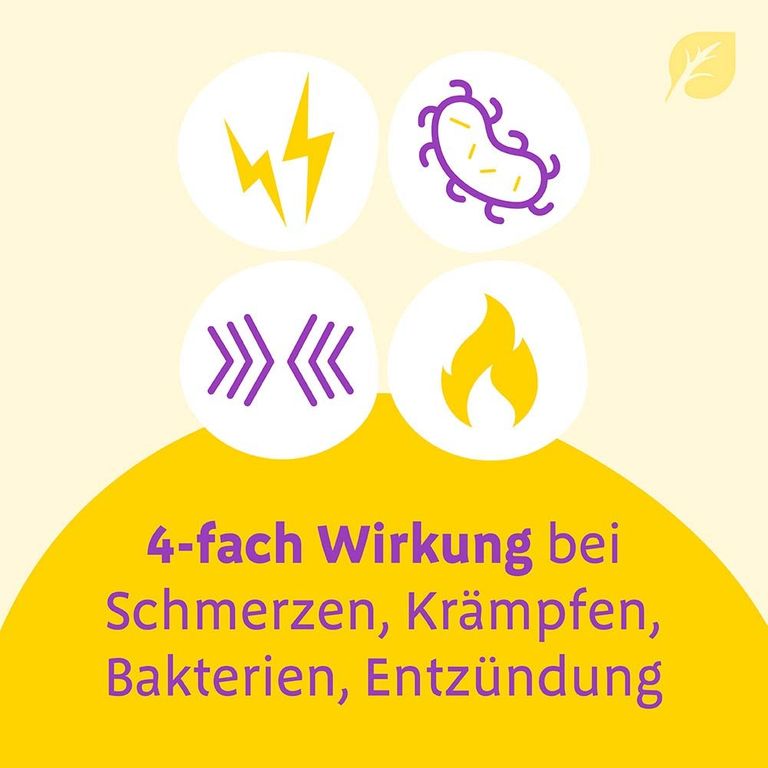 Canephron® Uno bei Blasenentzündung – mit 4-fach Wirkung 60 St - Shop Apotheke