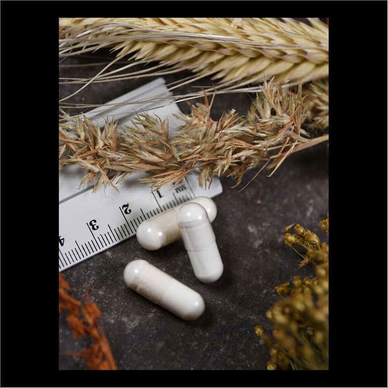 Propionsäure (Na-Propionat) 500 mg 60 St - Shop Apotheke