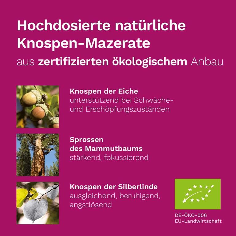 DR. KOLL Nerven Plus 50 ml - Shop Apotheke