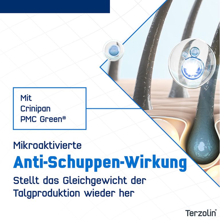 Terzolin® Expert Schuppen-Shampoo bei fettiger Kopfhaut, Juckreiz und ...