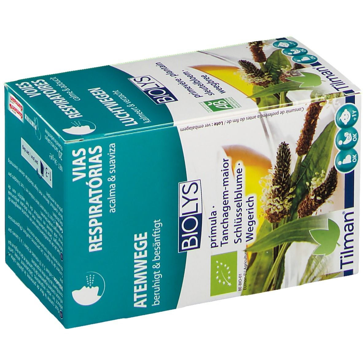 Biolys Tea Primrose/Plantain 20 pz | Redcare