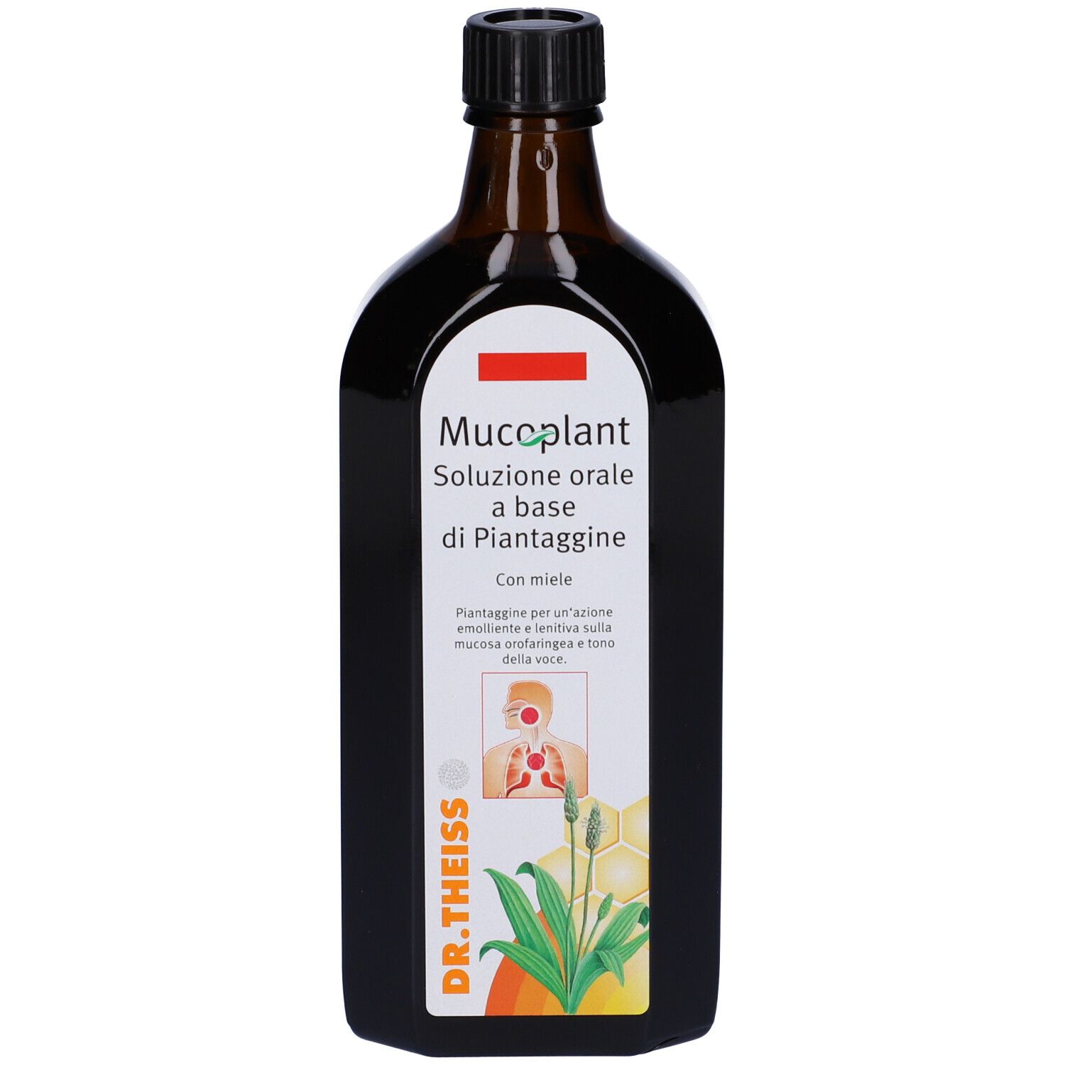 Dr. Theiss Mucoplant 250 ml | Redcare