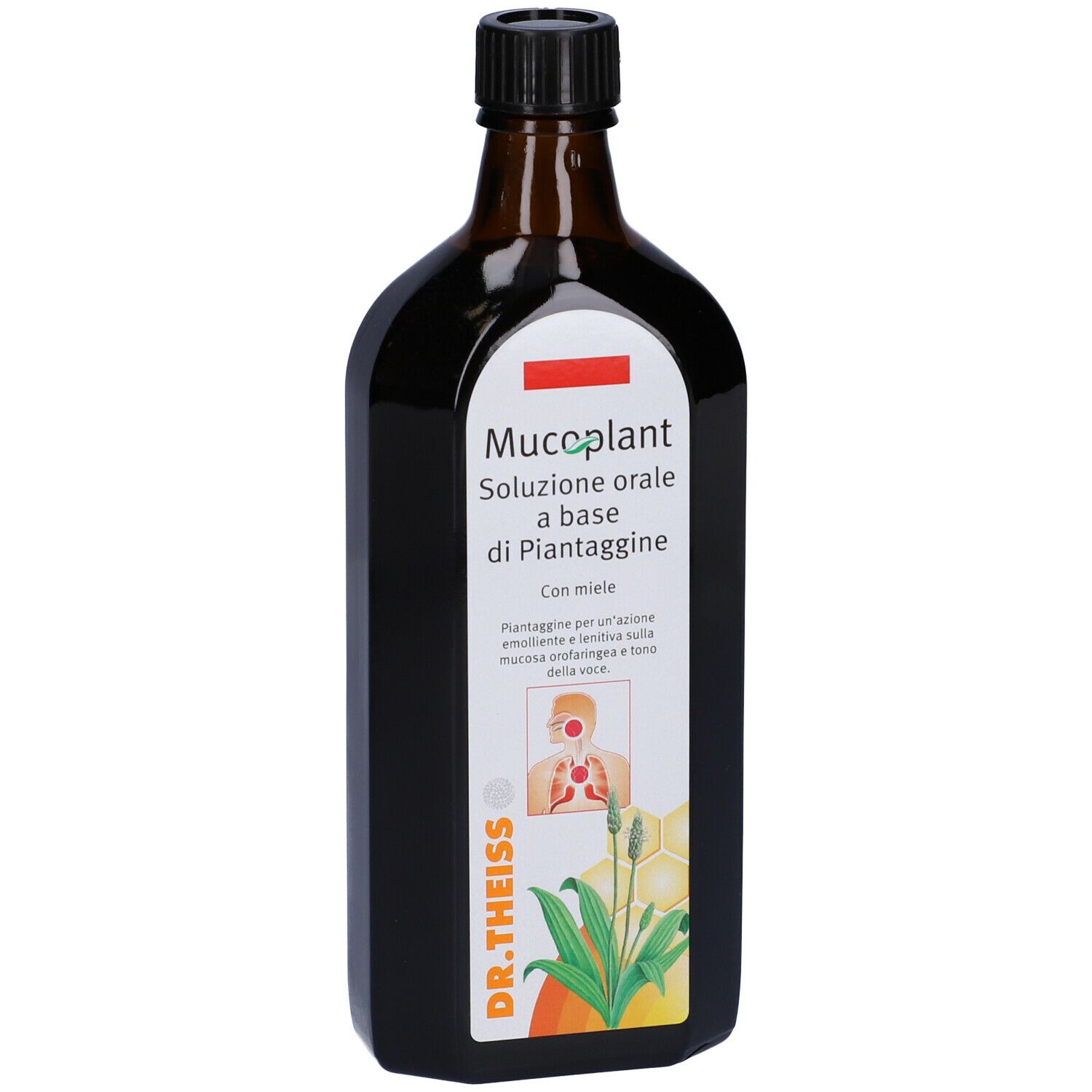 Dr. Theiss Mucoplant 250 ml | Redcare