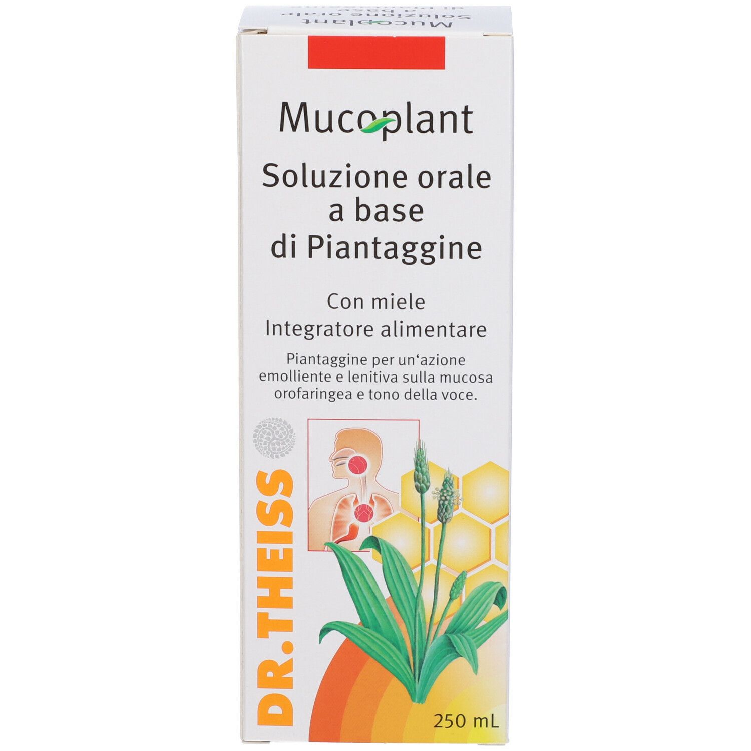 Dr. Theiss Mucoplant 250 ml | Redcare