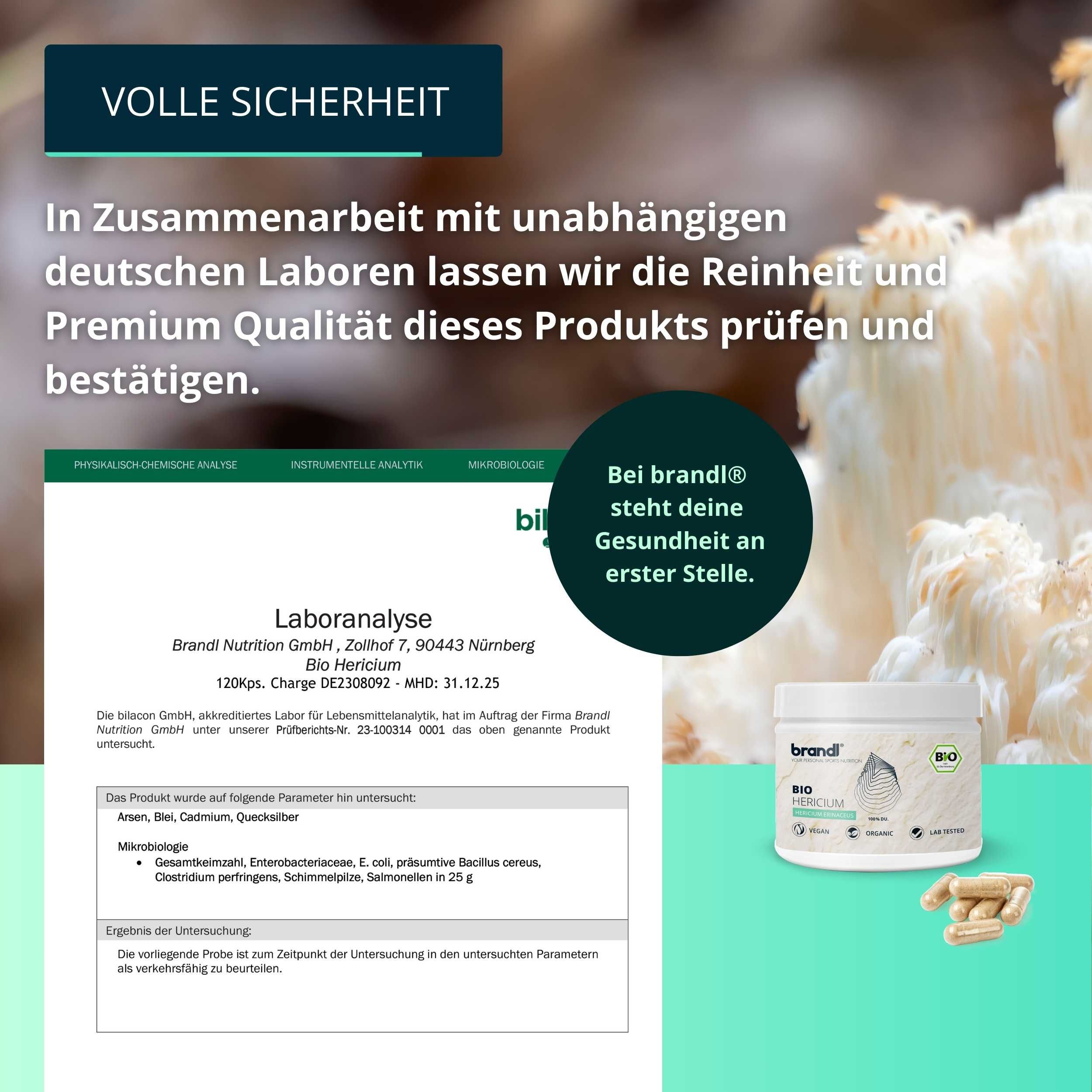 brandl® Bio Lions Mane (Hericium Erinaceus) Vitalpilz 120 St - Shop ...