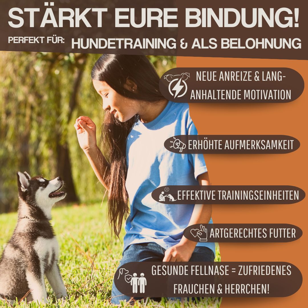 WEPO Rinderlunge für Hunde - Hunde Leckerlis 1 kg - Shop Apotheke