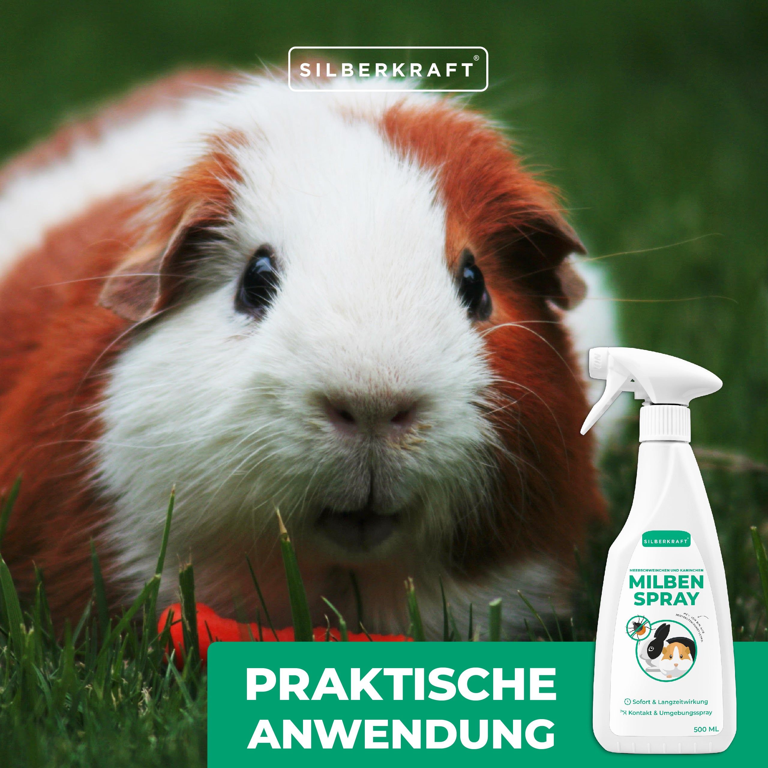 SILBERKRAFT Milbenspray Meerschweinchen & Kaninchen 4x500 ml - Shop ...