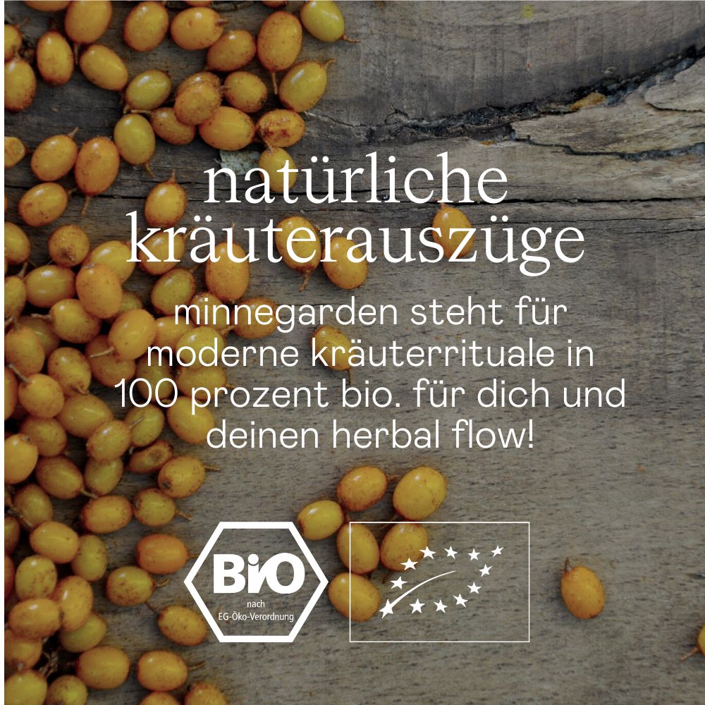 minnegarden Bio Oxymel Immune Boost - exotischer Kräuterauszug 150 ml ...