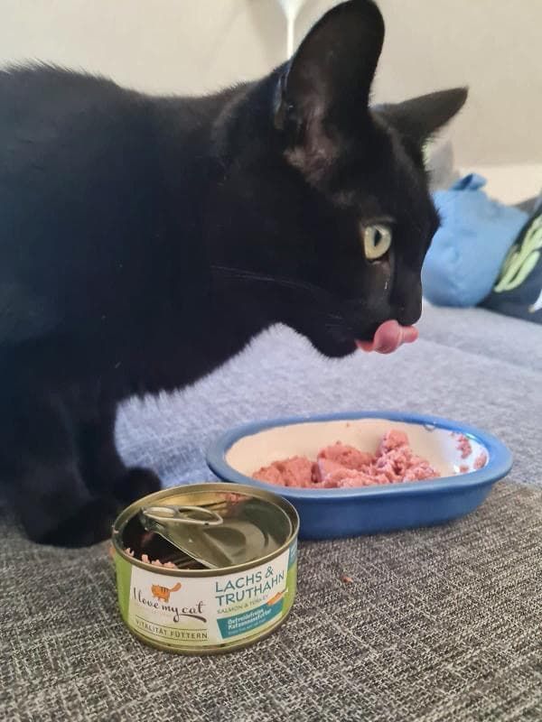 I love my cat Katzenfutter Nass mit Lachs und Truthahn 600 g - Shop ...