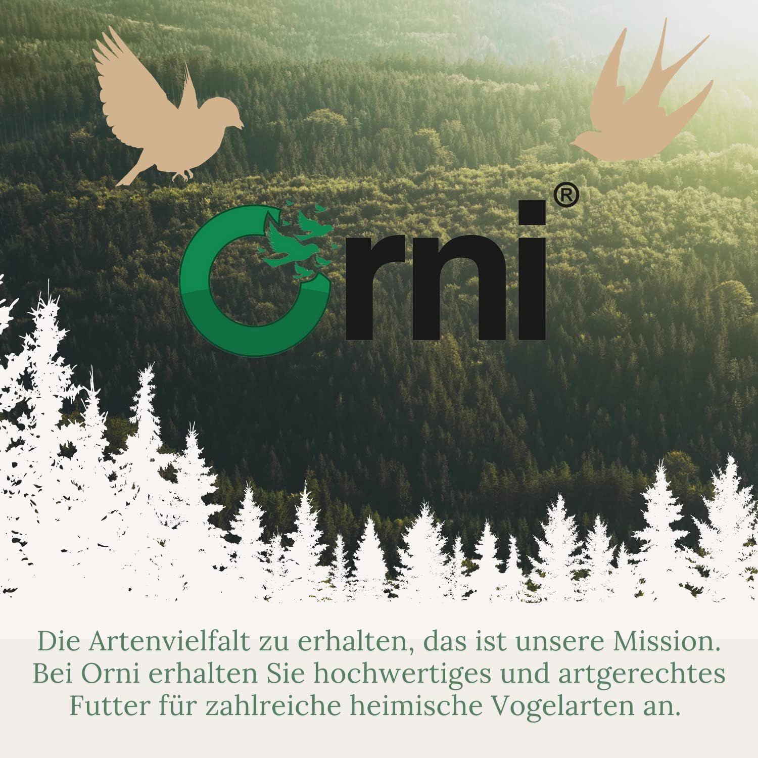 Orni Stieglitz Super I schmackhaftes Wildvogelfutter für Stieglitze I ...