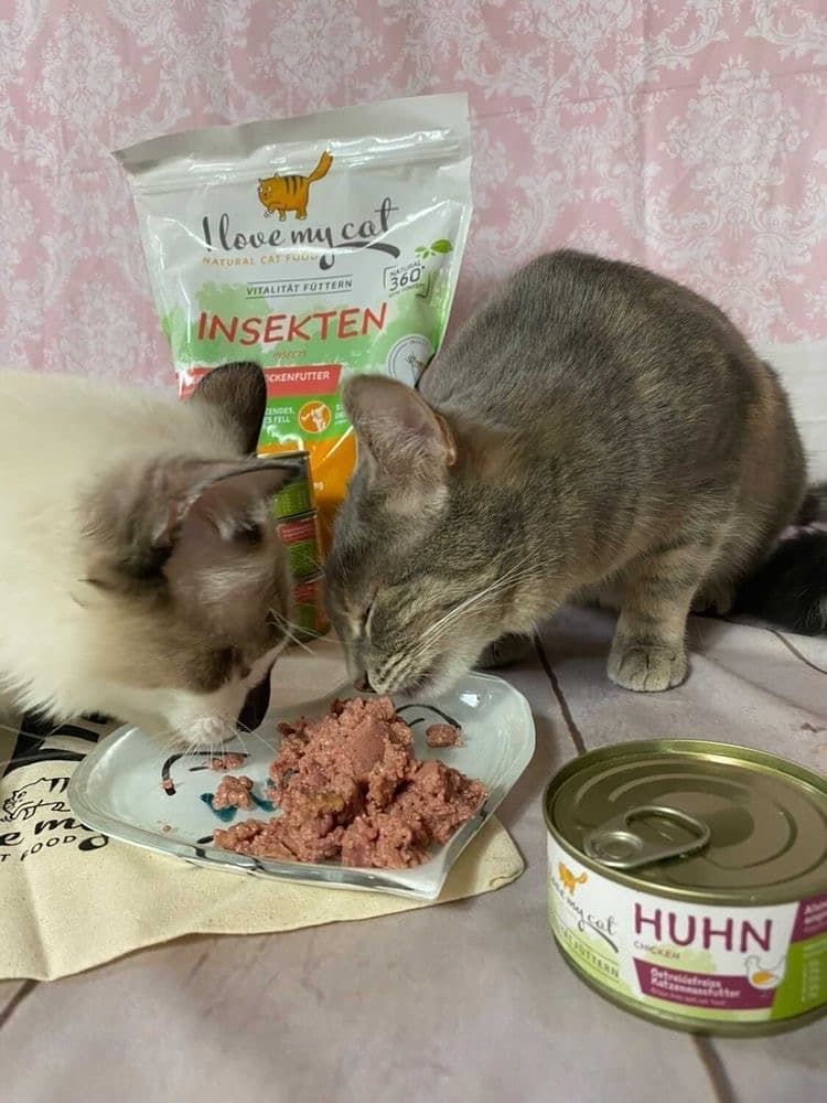 I love my cat Katzenfutter Nass mit Huhn 600 g - Shop Apotheke
