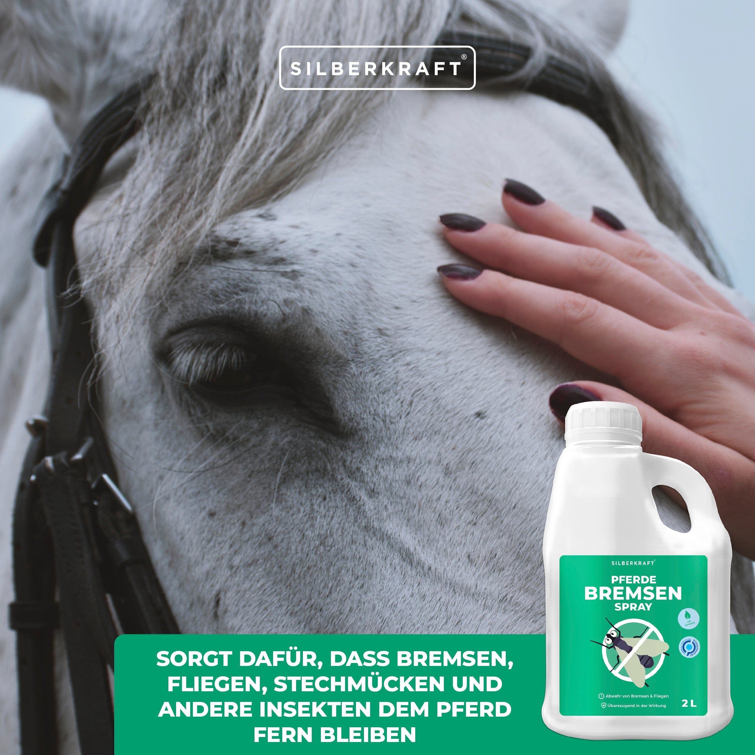 SILBERKRAFT Bremsen-Spray für Pferde 2,5 l - Shop Apotheke