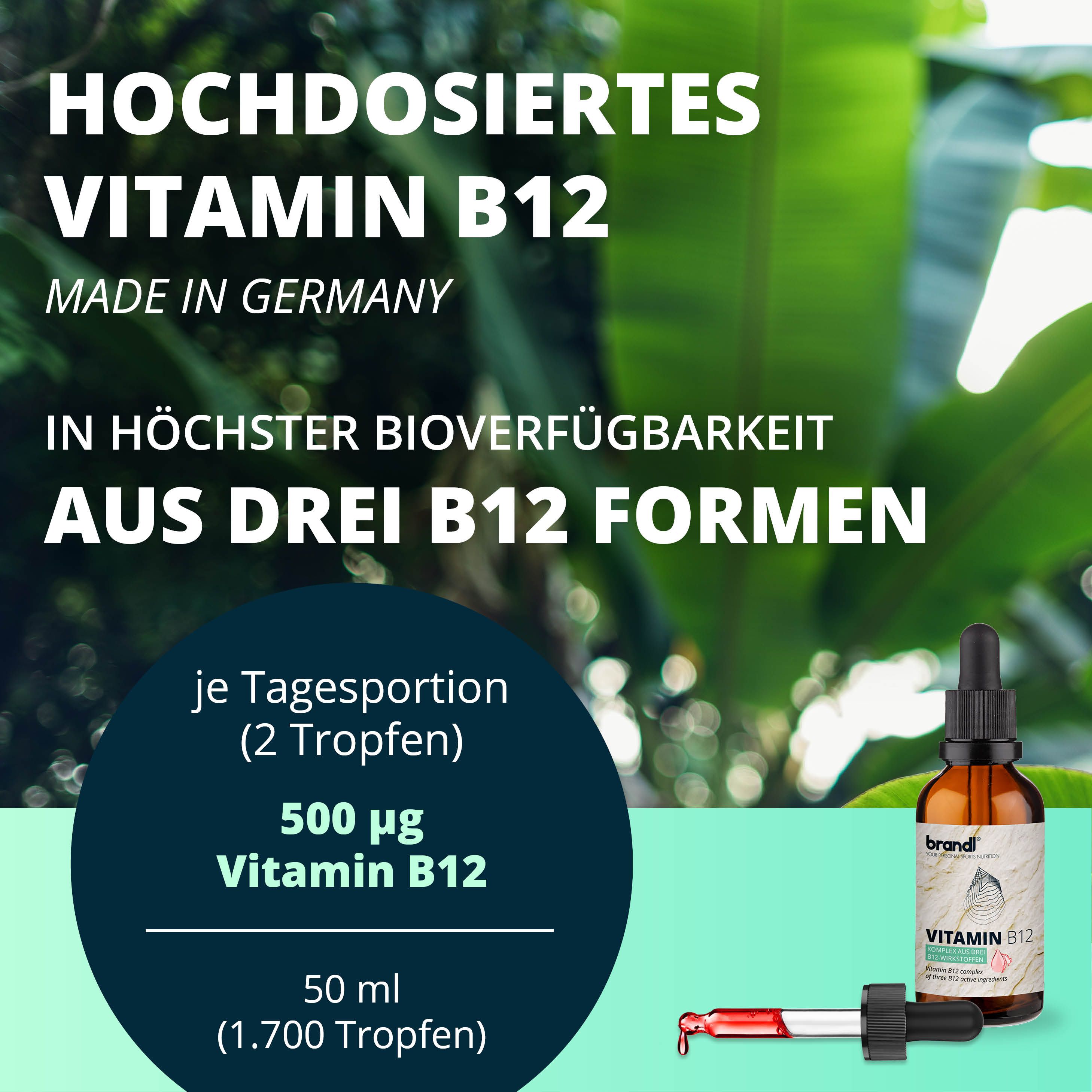 brandl® B12 Vitamin Tropfen aus 3 Aktivformen 100 ml - Shop Apotheke