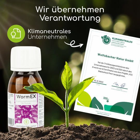 Wolfsbacher Natur Wurmmittel 50 ml - Shop Apotheke
