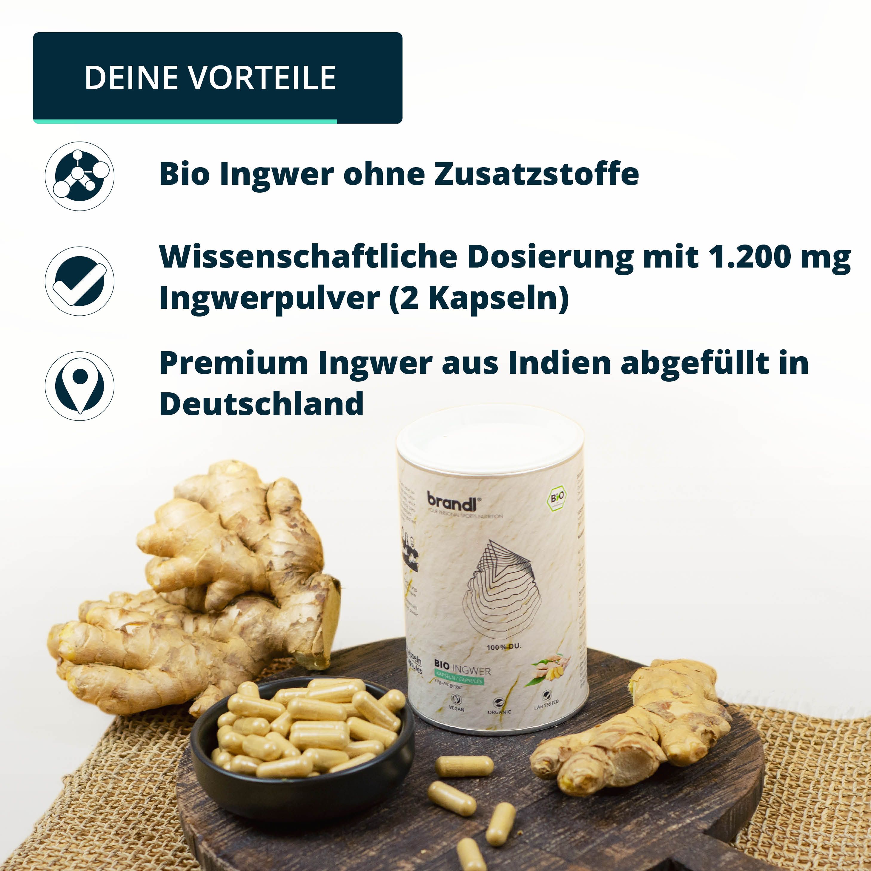 brandl® Bio Ingwer (Ginger) 360 St - Shop Apotheke