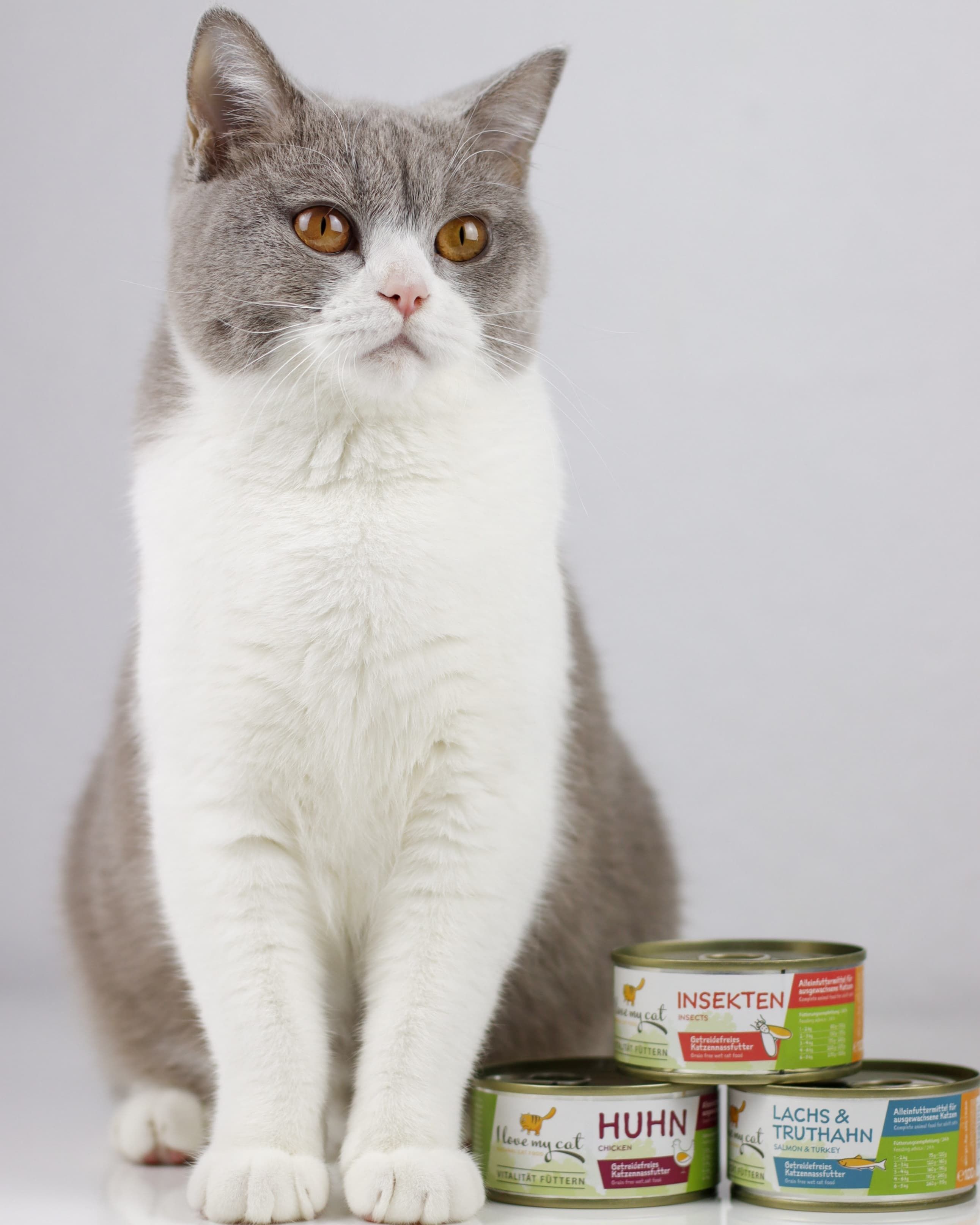 I love my cat Katzenfutter Nass mit Insekten 100 g - Shop Apotheke