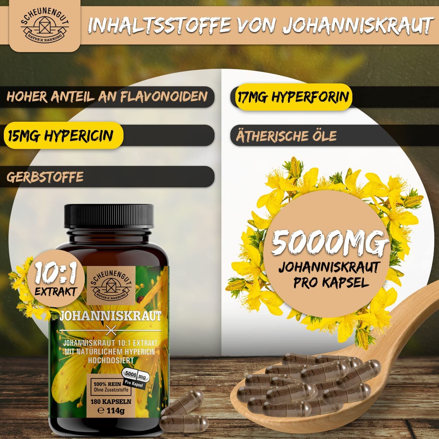 Scheunengut® Johanniskraut Extrakt | mit Hypericin & Hyperforin 180 St ...