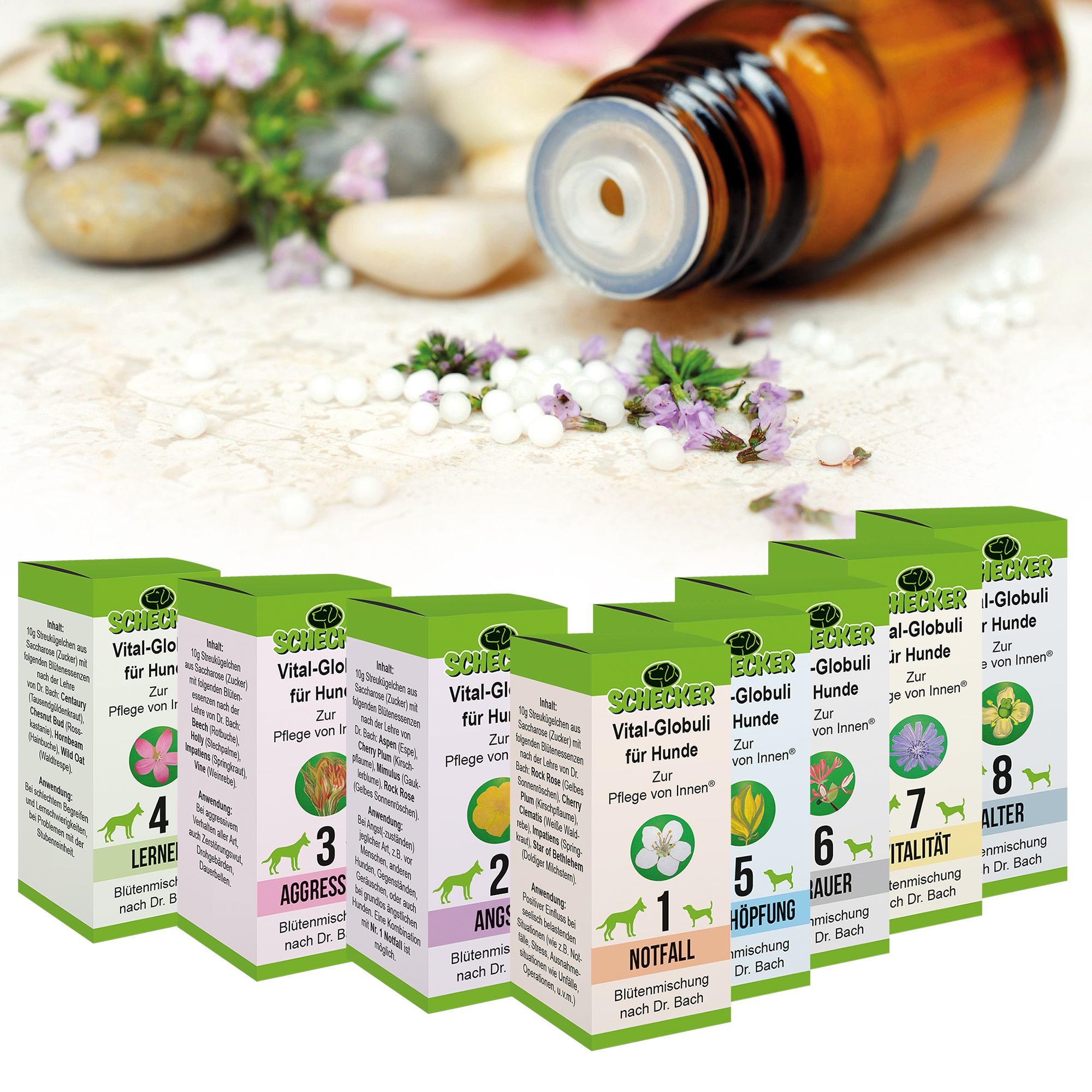 Schecker Vital Globuli -- Notfall für Hunde -- Blütenessenzen nach der ...