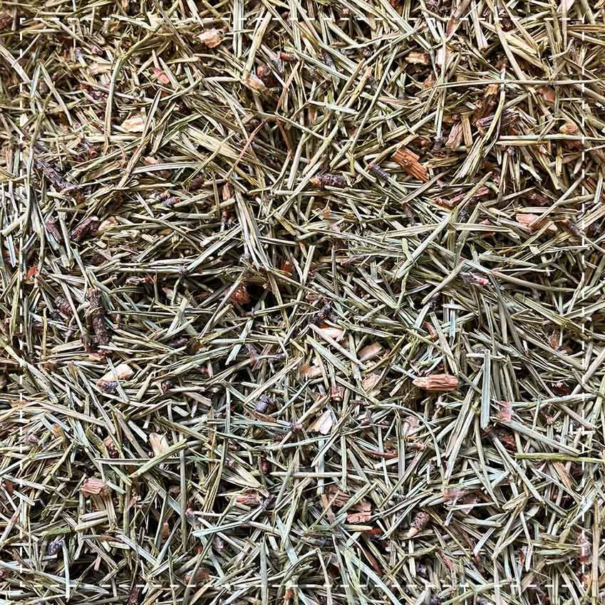 Biotiva Kiefernadeltee Bio 100 g | Shop Apotheke