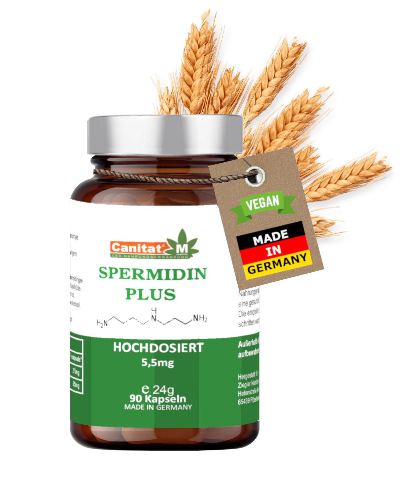 Spermidin Forte+ | Canitat M 1 St - Shop Apotheke